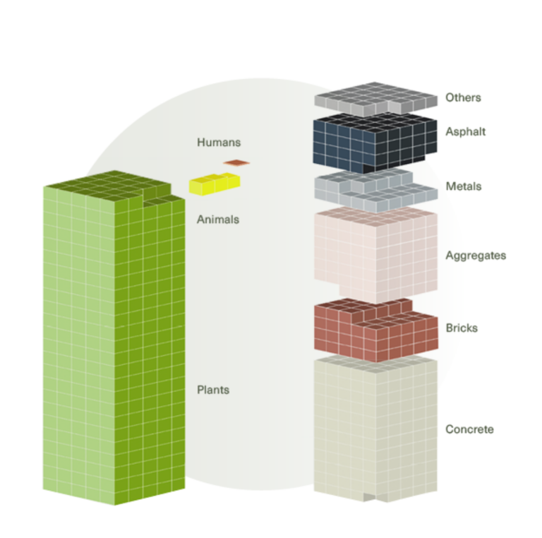 Anthropomass vs. Biomass - Impact One
